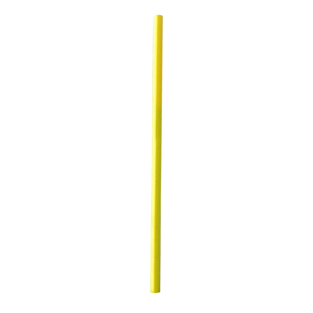 Grand Slam Baseball Fence 72" PVC Foul Pole with Cap | Baseball Fence Store