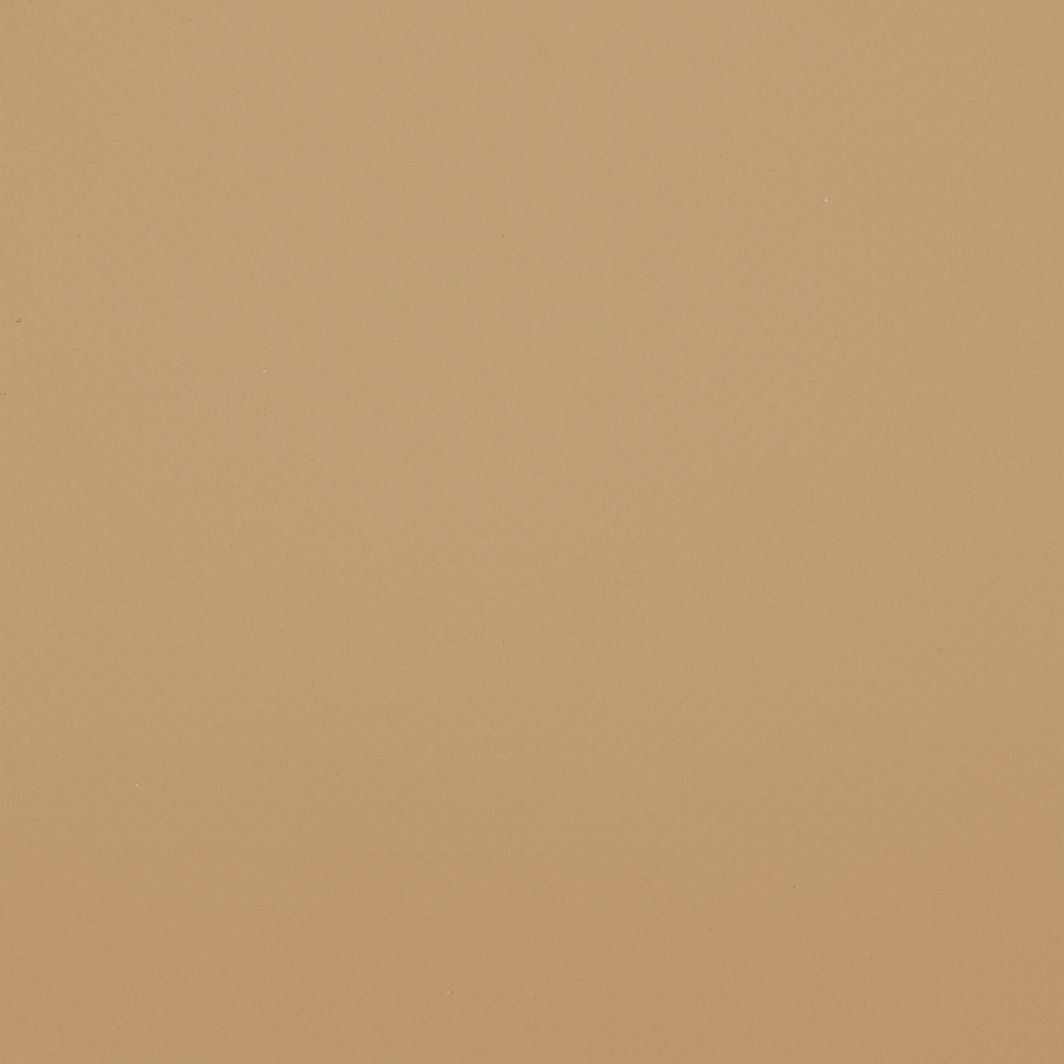 Nissen Envirosafe 4' x 8' Folding Baseball Backstop Pad - Tan ...