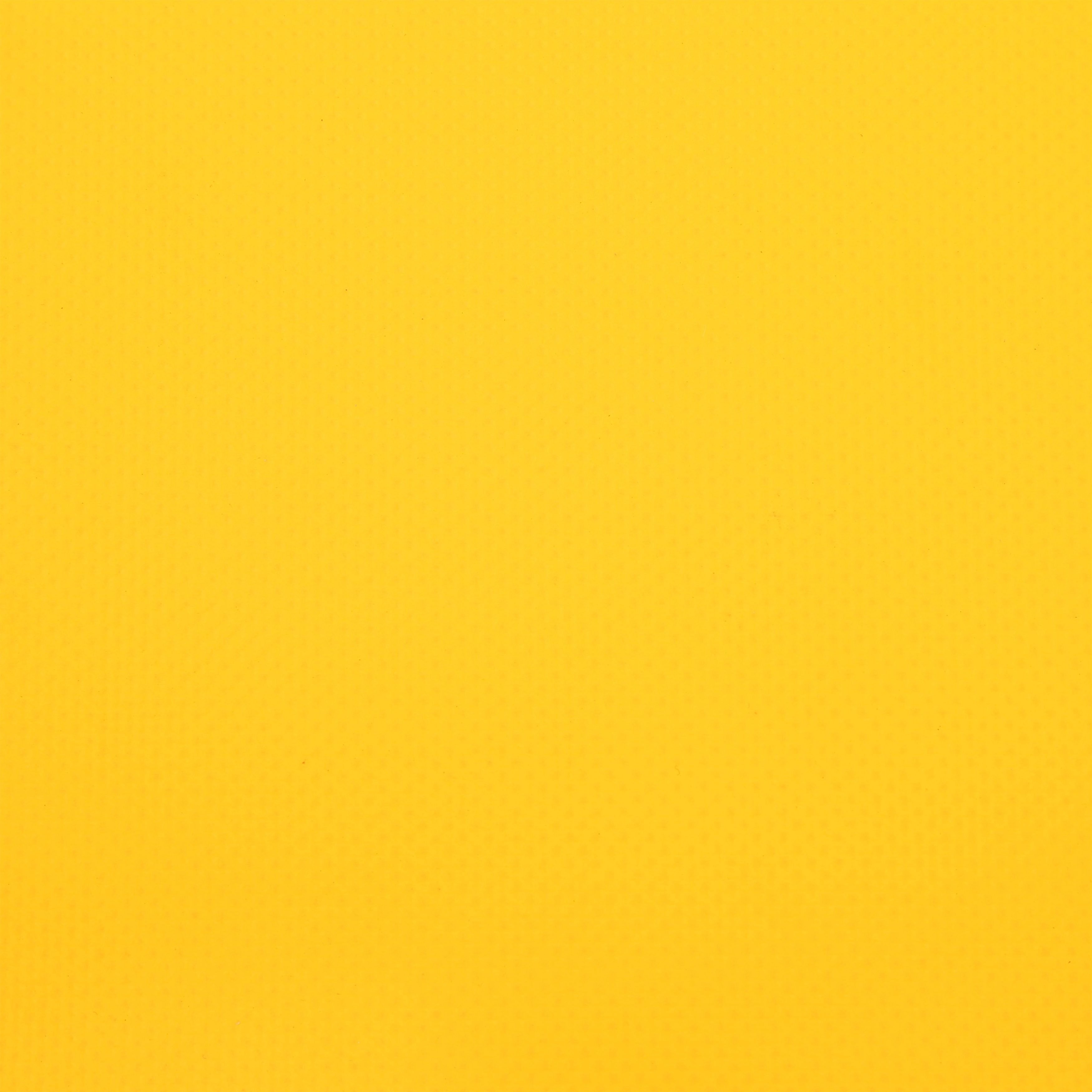 Nissen Envirosafe 2' x 10' Folding Baseball Backstop Pad - Yellow ...